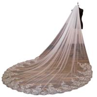 China Beautiful Customized 3m*3m Wholesale Long Cathedral Appliqued Lace Tulle Bridal Wedding White Veil With Hair Comb for sale