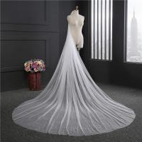China Beautiful Customized 3m*3m Wholesale Long Cathedral Tulle Bridal Wedding White Veil With Hair Comb for sale