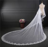 China Unique Customized 3.5m*3m Wholesale Long Cathedral Appliqued Lace Two Layers Tulle Bridal Wedding White Veil With Hair C for sale