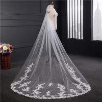 China Fashionable Customized 3m*1.8m Wholesale Appliqued Lace Tulle Bridal Wedding White Veil With Hair Comb for sale