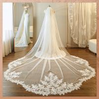 China New Styles Customized Wholesale Cathedral Appliqued Lace Tulle Bridal Wedding White Veil With Hair Comb for sale