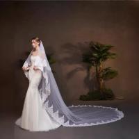 China New Styles Customized Two Layers Appliqued Lace 3.5m*3m Cathedral Tulle Bridal Wedding White Veil With Hair Comb for sale