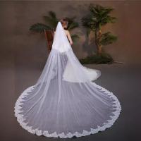 China New Styles Customized Two Layers Appliqued Lace 3.5m*3m Cathedral Tulle Bridal Wedding White Veil With Hair Comb for sale