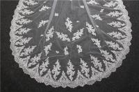 China New Styles Customized Appliqued Lace 3.5m*1.8m Cathedral Tulle Bridal Wedding White Veil With Hair Comb for sale