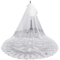 China Elegant Customized Two Layers Appliqued Lace 3.5m Tulle Bridal Wedding White Veil With Hair Comb for sale