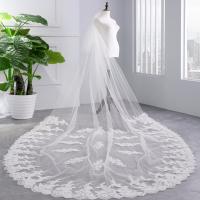 China Elegant Customized Two Layers Appliqued Lace 3.5m Tulle Bridal Wedding White Veil With Hair Comb for sale