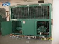 China RFJ 4GE-23Y-40P Refrigeration Controls Box Type Air - Cooled Condenser Unit For Deep Freezer for sale