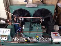 China Unit-SPB06KL Air Cooled Condenser Compressor Condensing for Model 4CES-6Y-40S 4CC-6.2Y-40S for sale