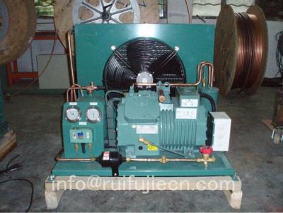 China Compressor Air Cooled Cold Room Condensing Unit / Cold Storage Room Model Spb05km for sale
