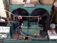 China R404a Air Cooled Condensing Unit For Cold Storage for sale