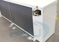 China Type D Series Evaporator Coolensing Unit Cold Air Cooler DL DD DJ  For Cold Room for sale