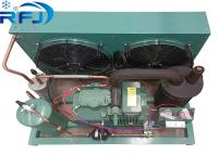 China 220-240V/1PH/50Hz Voltage 2HP Semi-closed Low Temperature Air-cooled Condensing Unit for Commercial Cooling for sale