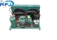 China 220-240V/1PH/50Hz Voltage 2HP Semi-closed Low Temperature Air-cooled Condensing Unit for Commercial Cooling for sale