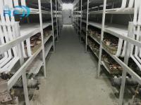 China Commercial Industrial Cold Room Walk In Refrigeration Cold Room Volume Exterior for sale