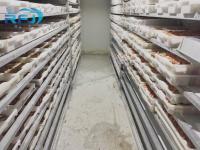 China Fresh Tuna Small Tunnel Plate Blast Walk In Freezer Industrial Seafood Iqf Cold Contact Panel for sale