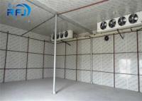 China Walking Deep Freezer Commercial Cold Room 380V/3P/50Hz Cooler For Sea Food for sale