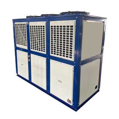 China FNV-200 Double-Layer Industrial Air Cooled Condenser for Freezer Cold Room for sale
