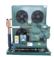 China 40HP condensing unit 6G-40.2-40P 6GE-40-40P for fishing boat cool room for sale