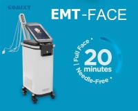 China Face Lifting EMS Sculpting Machine 50Hz 60Hz With 3 Handles for sale