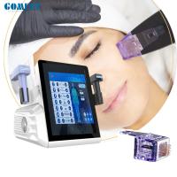 China Fractional Microneedle RF System  Morpheus 8 Acne Scar Removal Machine for sale