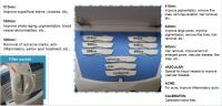 China 1-10Hz Laser Multifunction Beauty Machine With 8.4