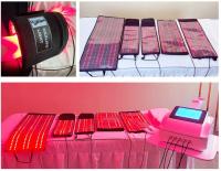 China 940nm 635nm Lipo Laser Slimming Machine For Weight Loss / Pain Therapy for sale