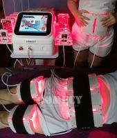 China Weight Loss Lipo Massage Machine , Diode Laser Slimming Machine With 8 Paddles for sale