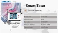 China Therapy Smart Tecar Machine 300W With Cable Accessories for sale
