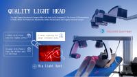 China Vertical Low Level Laser Therapy Equipment , Luxmaster Physio Laser Machine for Pain Relief for sale