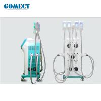 China Fat Freezing Cryolipolysis Slimming Machine 1000W Cellulite Reduction Equipment for sale