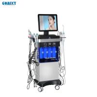 China 14 In 1 Oxygen Jet Peel Machine 300W Hydro Dermabrasion Facial Machine for sale