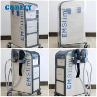 China 18 Inch Screen EMS RF Muscle Sculpting Building Machine with Piano Sound and 1 Pelvic Floor Training Seat Paddle for sale