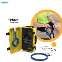 China Physical Pemf Magnetic Therapy Device Pmst Loop For Human Whole Body Pain Relief for sale