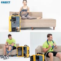 China Physical Pemf Magnetic Therapy Device Pmst Loop For Human Whole Body Pain Relief for sale