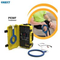 China Physical Therapy Machines PMST LOOP PEMF For Human Body Pain Relief Magneto Therapy Device for sale