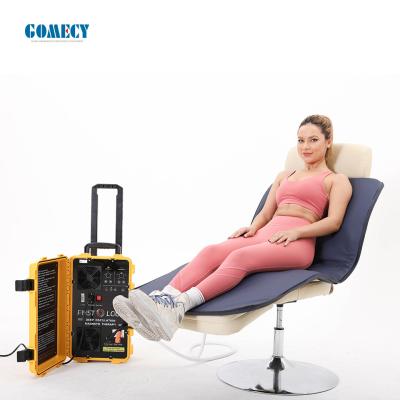 China PMST Loop Mat Pemf Magnetic Pulsed Field Magnetic Therapy Human Pain Relief for sale