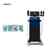 China 2024 Inmode Morpheus 8 Microneedling RF Fractional Skin Treatment Machine M8 GOMECY Factory for sale