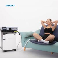 China GMS Body Magnetic Pemf Mat 6000GS PMST Loop Magnetotherapy Body Pain Relief Machine for sale