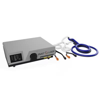 China 2024 Pemf Physio Magneto Therapy Physiotherapy PMST Loop Pro Pulsed Electro Magnetic Fields PEMF Therapy Device for sale