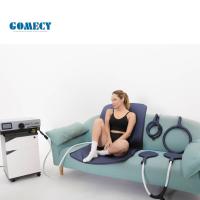 China IP 31 Rated Pain Relief Physiotherapy Machine Pemf PMST LOOP for Human Treatment for sale