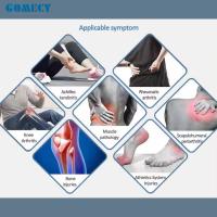 China Portable 2 In 1 Physio Magnetoterapia PMST MAX Physical Therapy Machine for sale