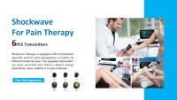 China Multifunctional Extracorporeal Focused Shockwave Therapy Machine Electromagnetic Eswt Shockwave For Physical Therapy for sale