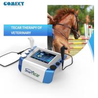 China Portable Tecar Therapy Machine for sale