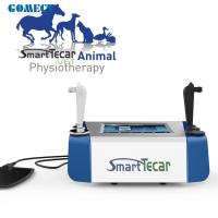 China Portable Tecar Therapy Machine for sale