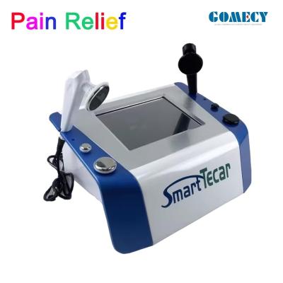 China Portable High-Performance Radiofrequency Tecar Therapy Machine for Horse Sports Injuries - Advanced Physiotherapy Treatment for sale