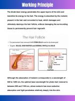 China 755 808 1064nm OEM Diode Laser Hair Removal Device for Ozero Khanka Pioneer for sale