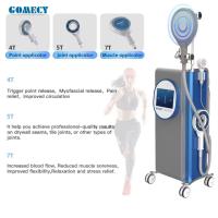 China Pemf Magnetic Therapy Device Emfield Pro High Energy Inductive Therapy Magneto Therapy Physio Machine for sale
