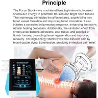 China Electromagnetic Medical Shockwave Therapy Machine for Pain Relief and Muscle Recovery for sale