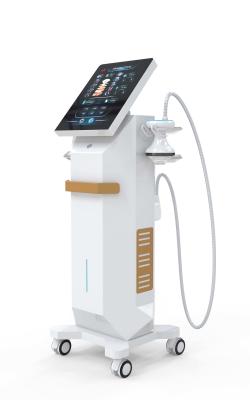 China Professional Vertical Piezoelectric FSWT Shock Wave Therapy Machine for Musculoskeletal Disorders for sale
