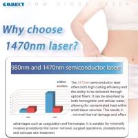 China Professional 1470 Nm 980 Nm Diode Laser Lipolysis Machine Fat Loss Liposuction Vascular Varicose Veins Removal For Dental Clinic for sale